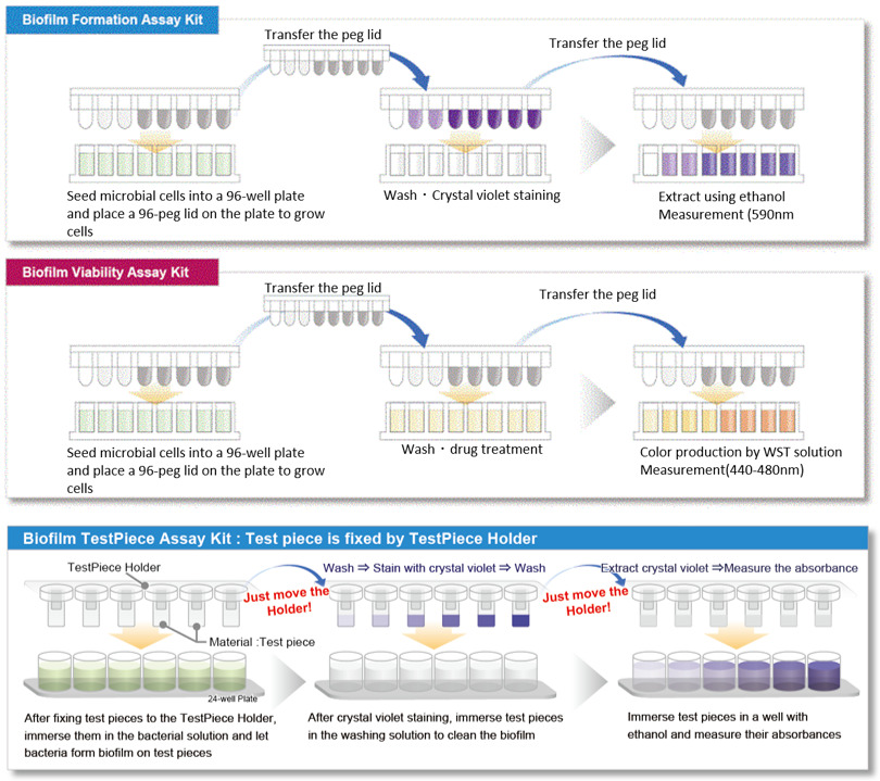 Biofilm: Three different types of assay kits for different purposes ...