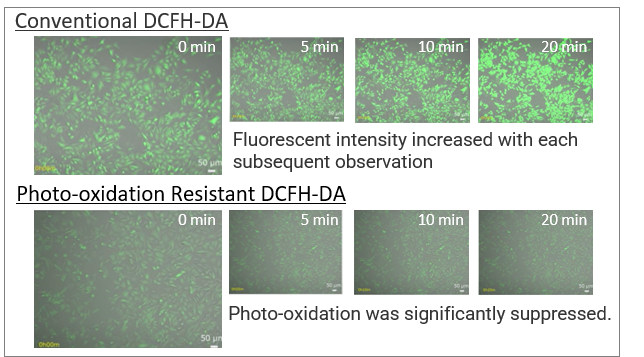 ROS Research DOJINDO LABORATORIES
