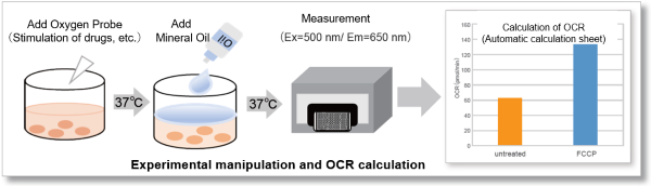 Oxygen Consumption Rate(OCR) Plate Assay Kit Extracellular OCR Plate ...