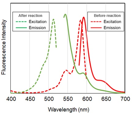 Lipid Peroxidation Assay Lipid Peroxidation Probe -BDP 581/591 C11- Dojindo
