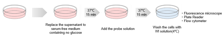 Glucose uptake capacity assay Glucose Uptake Assay Kit-Green Dojindo