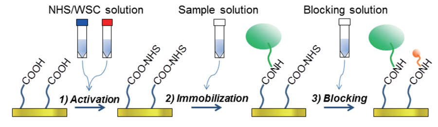 Amine Coupling Kit A515 manual | DOJINDO