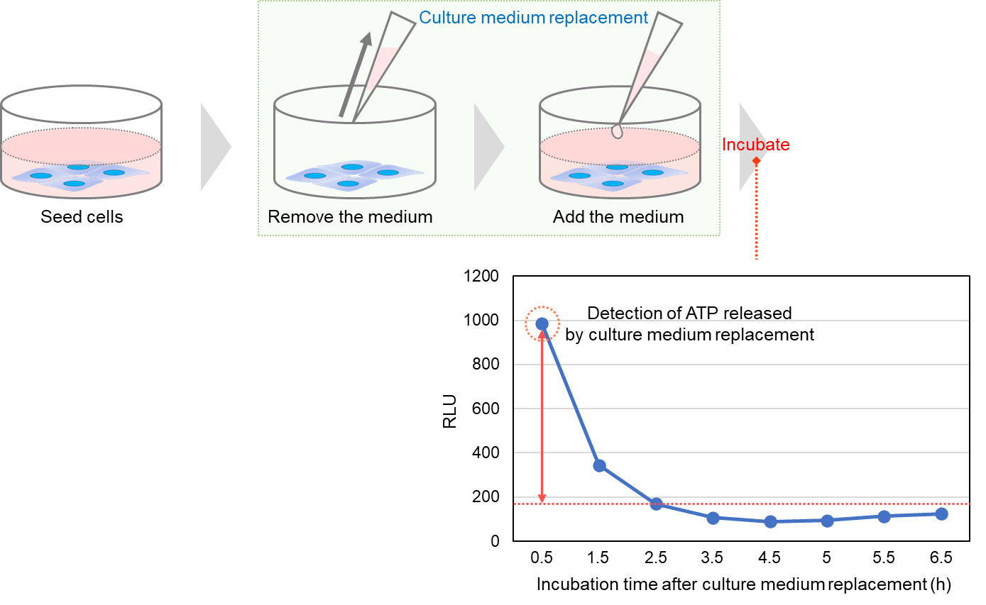 Extracellular ATP Assay Kit-Luminescence E299 manual | DOJINDO
