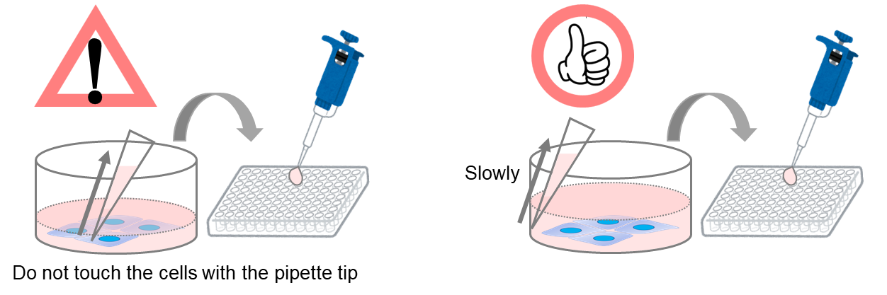 Extracellular ATP Assay Kit-Luminescence E299 manual | DOJINDO