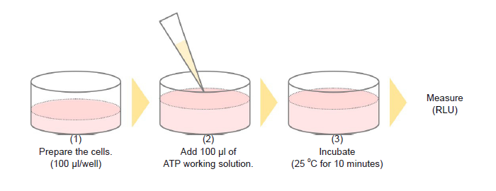 Glycolysis/OXPHOS Assay Kit G270 manual | DOJINDO