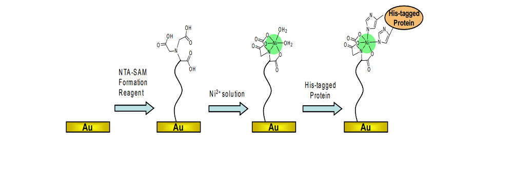 NTA-SAM Formation Reagent N475 manual | DOJINDO