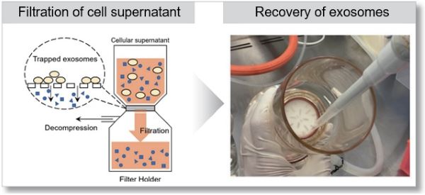 Exosome Isolation Kit Exo Isolator Exosome Isolation Kit DOJINDO