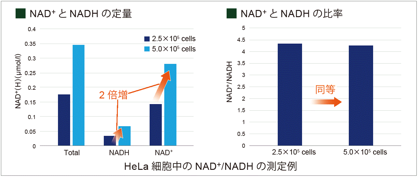 NAD/NADH Assay NAD/NADH Assay Kit-WST DOJINDO