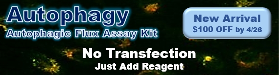 Glycolysis/Oxidative phosphorylation Assay Glycolysis/OXPHOS Assay Kit ...